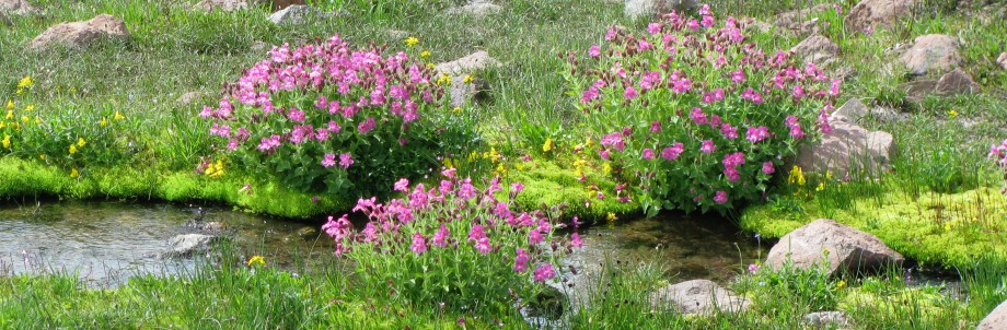 Beginnings | Books 'n stuff by Donna